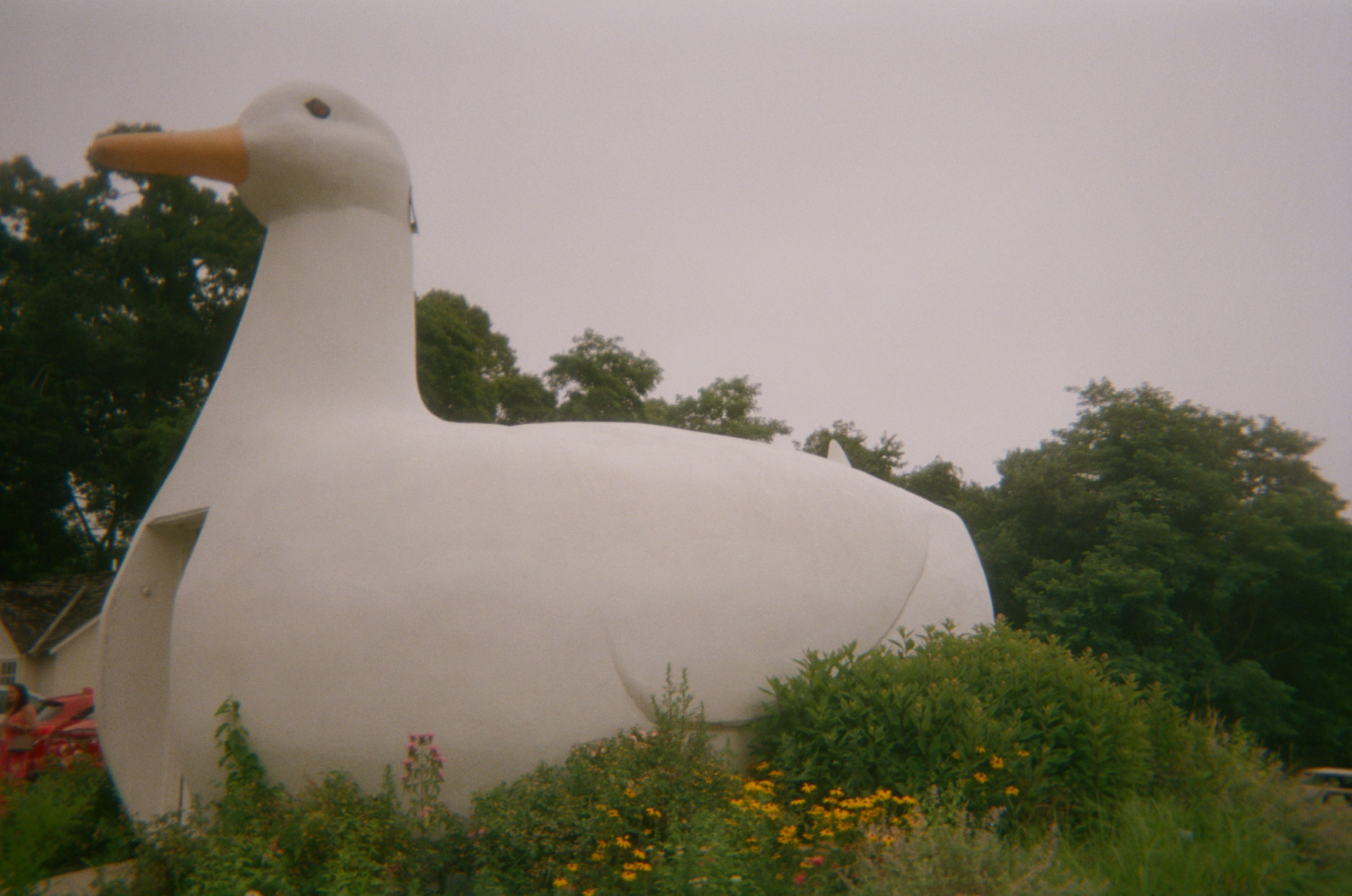 What Can We Learn From The Big Duck?