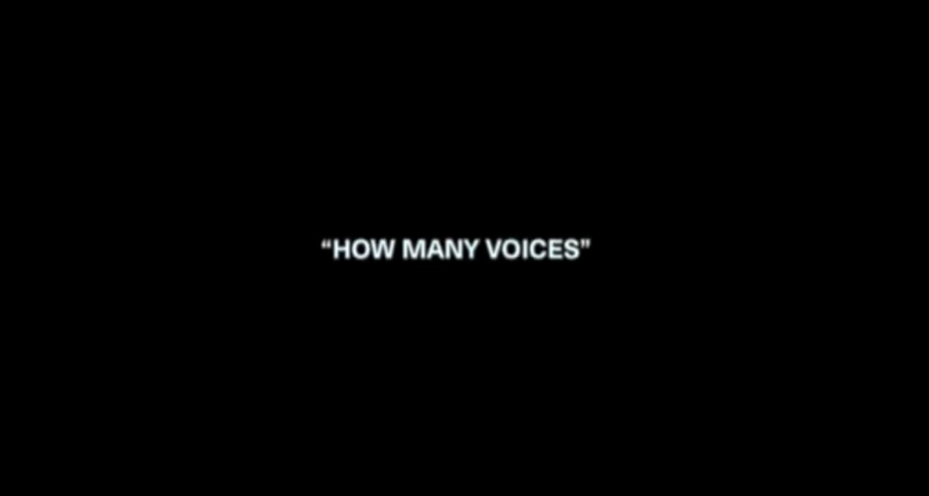How Many Voices?