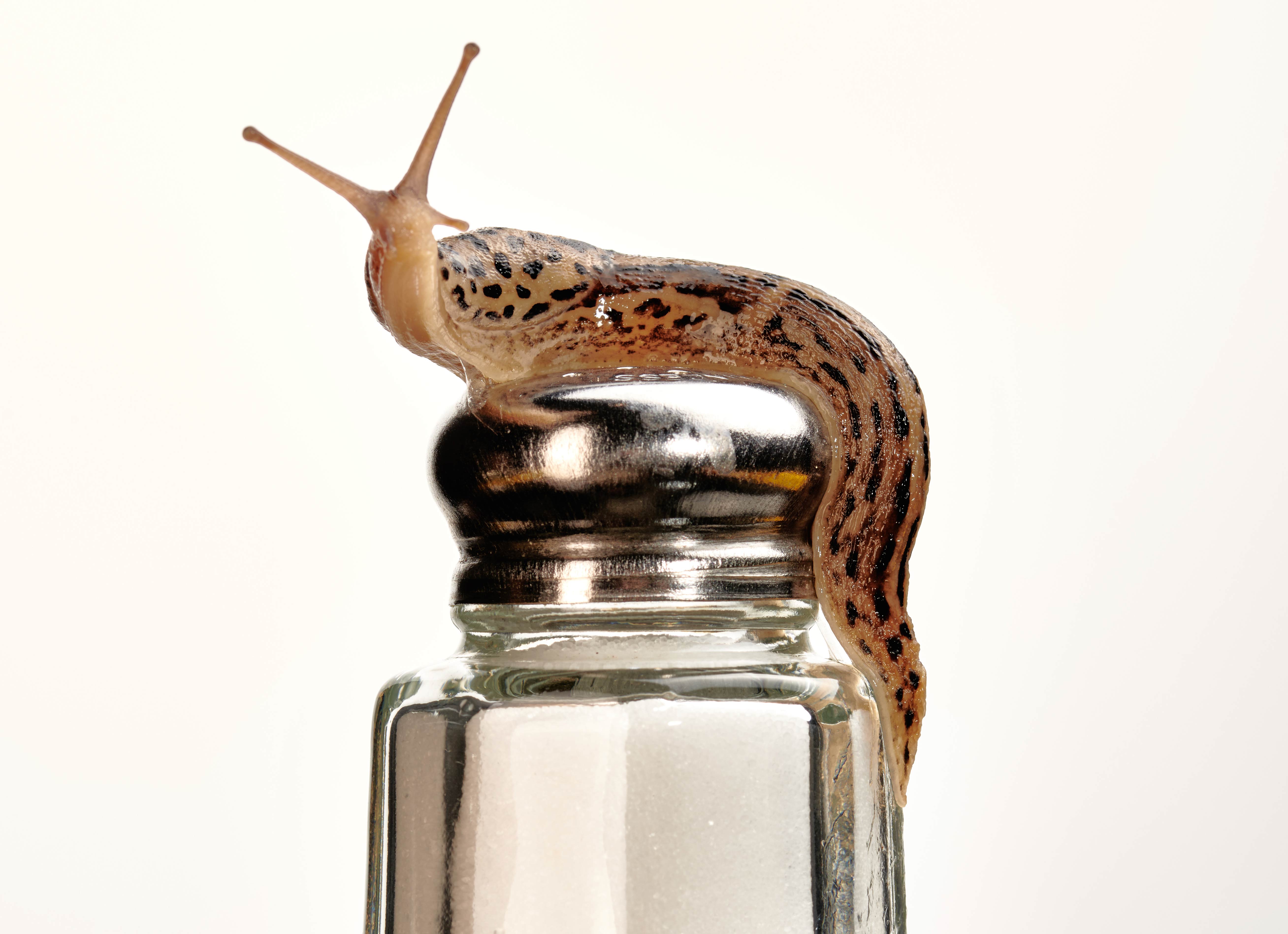 Not All Pairings Are Created Equal